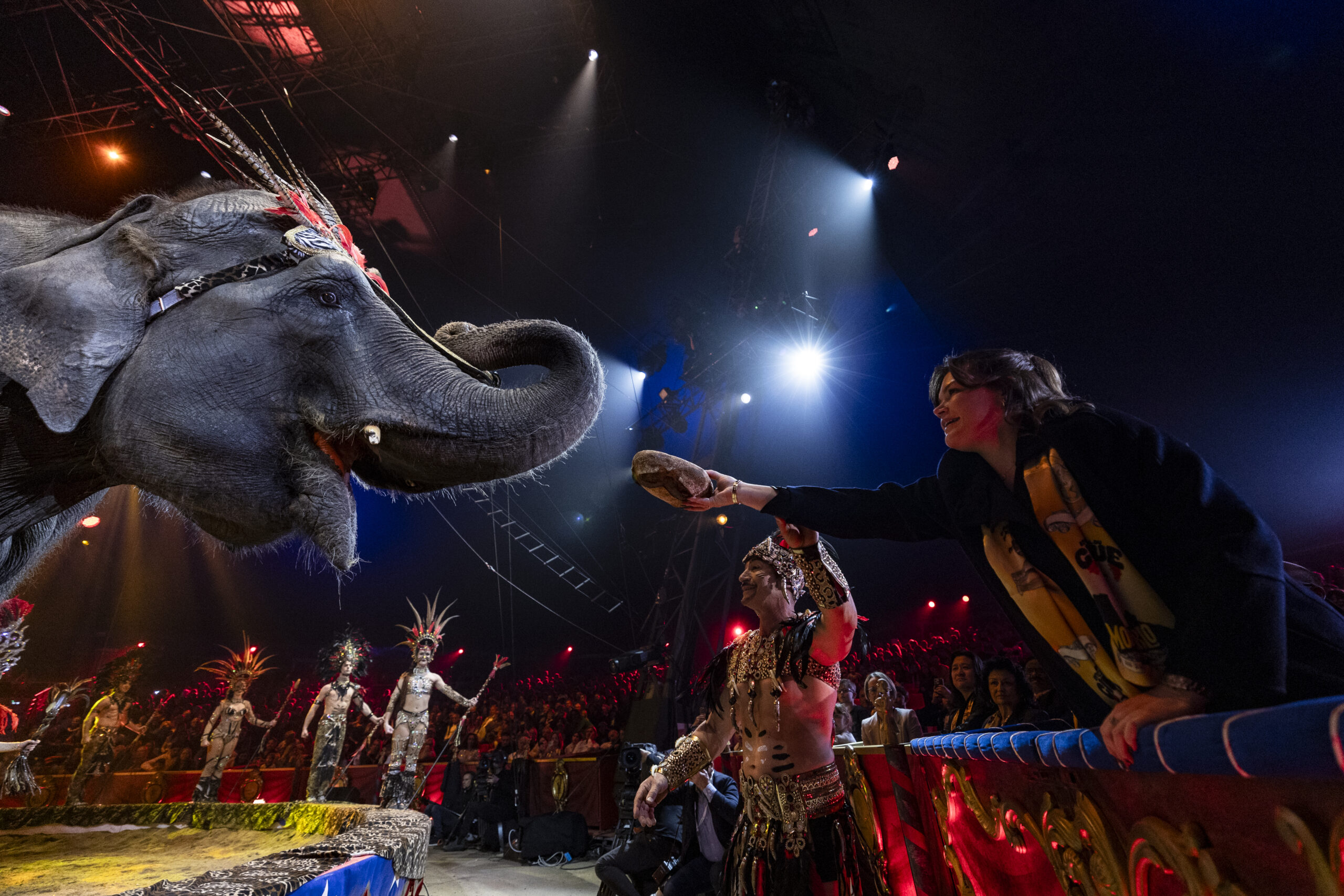 Monaco Now - The best of circus at the Monte-Carlo International Festival