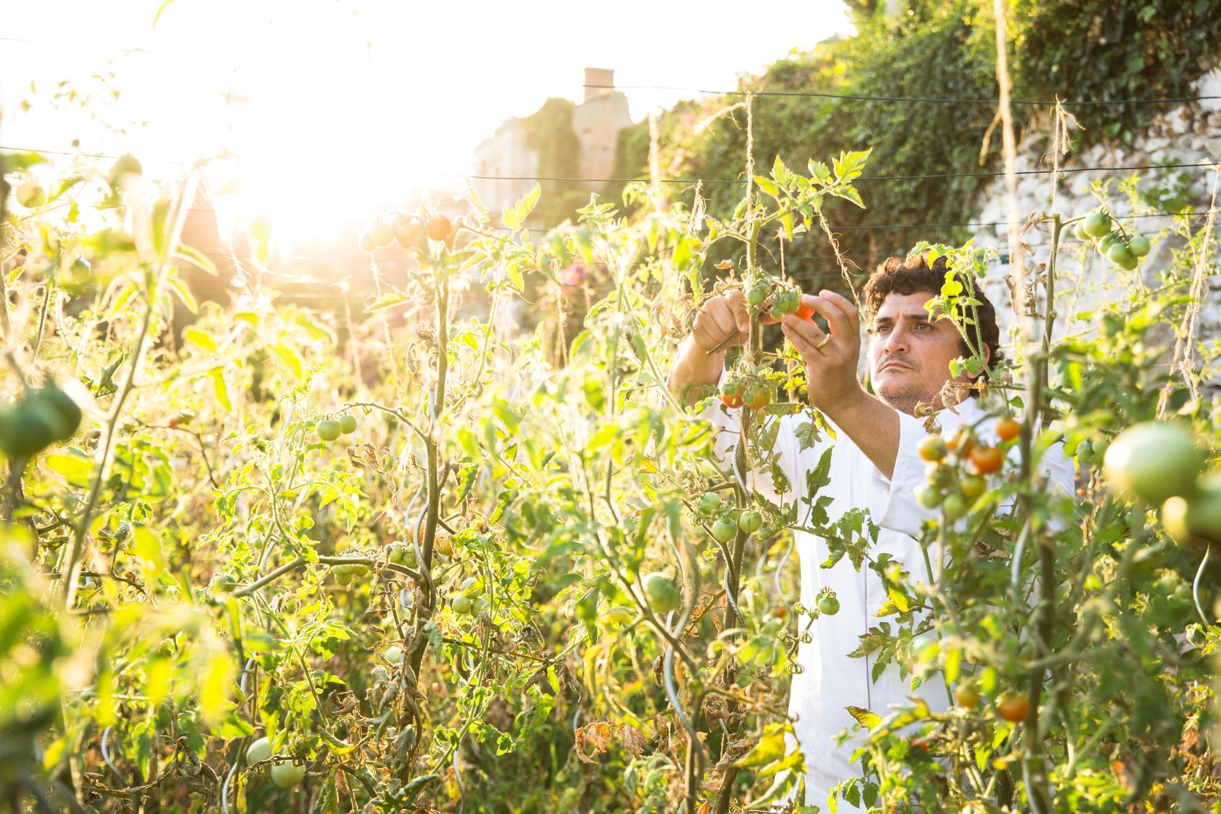 Monaco Now - Mauro Colagreco: From the Mirazur to Komo Monaco